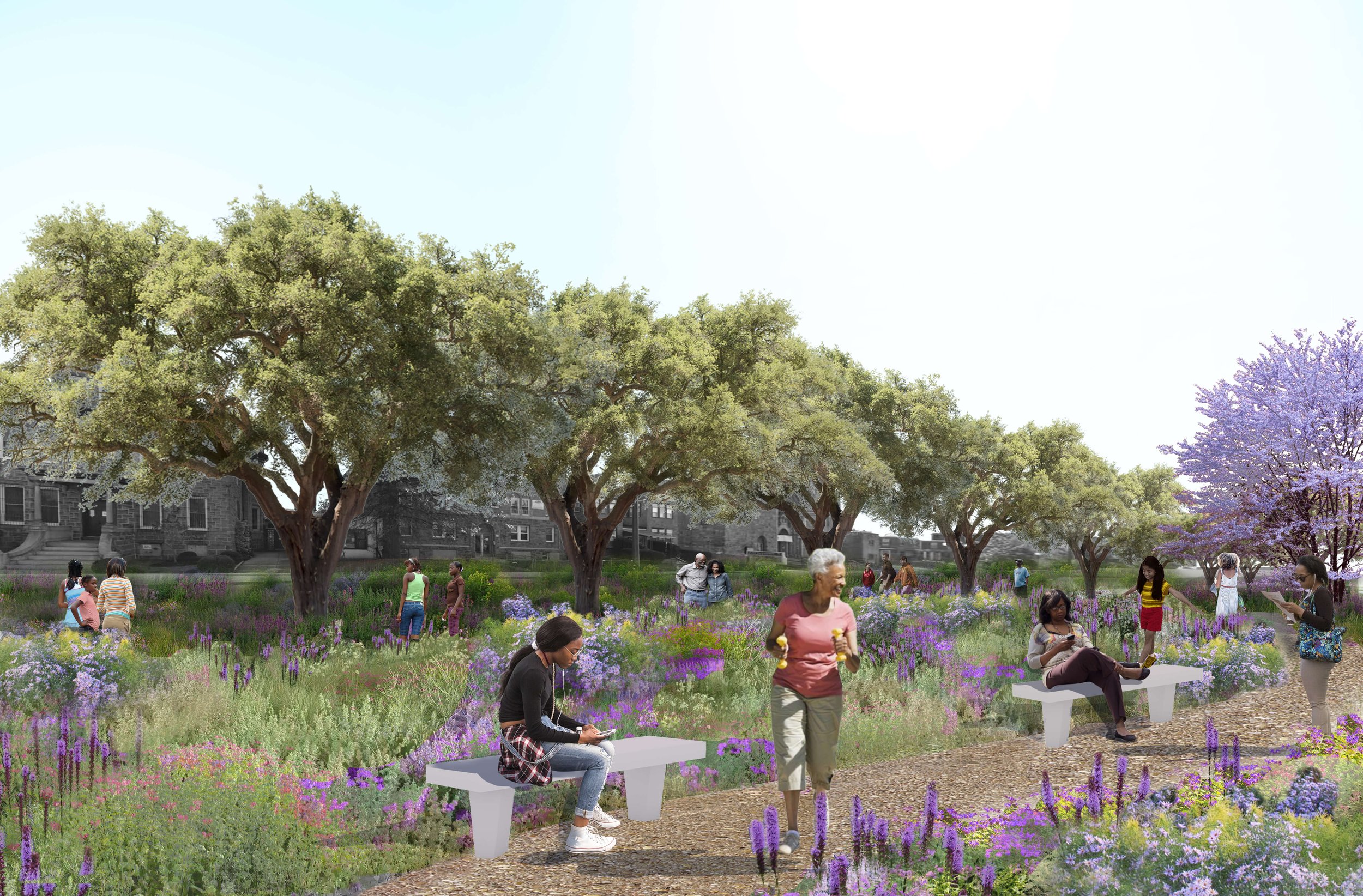 Projects — Studio Zewde