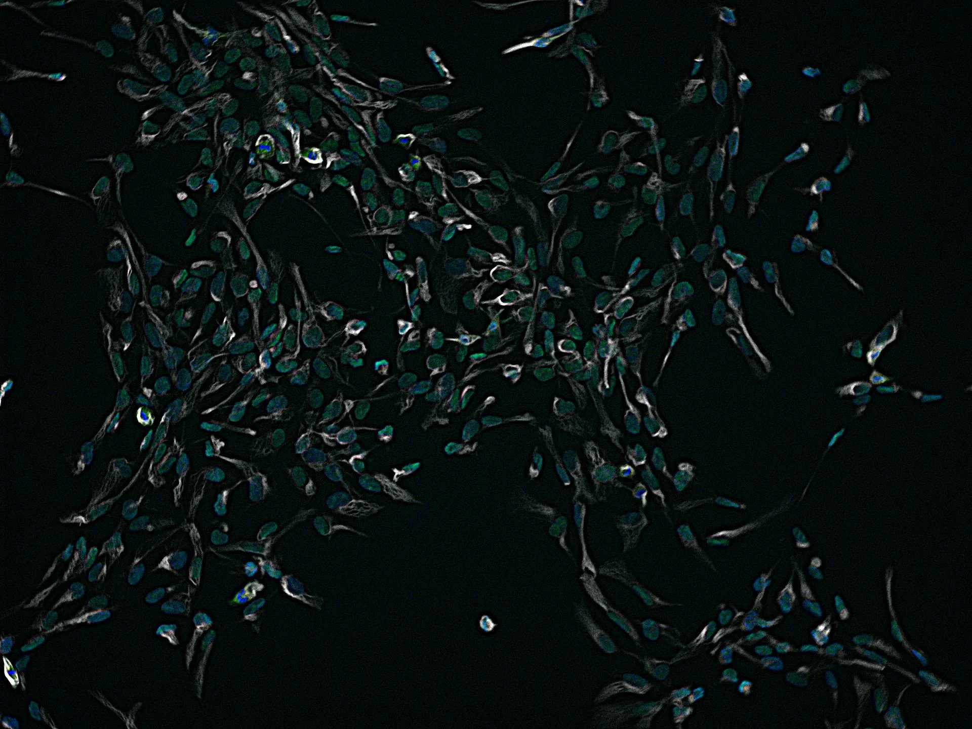 Team — Tuscher Lab