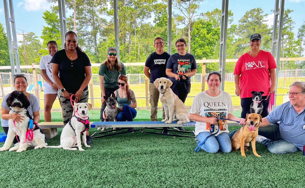 Wild Child Dog Training l Best Crystal Coast Dog Trainer