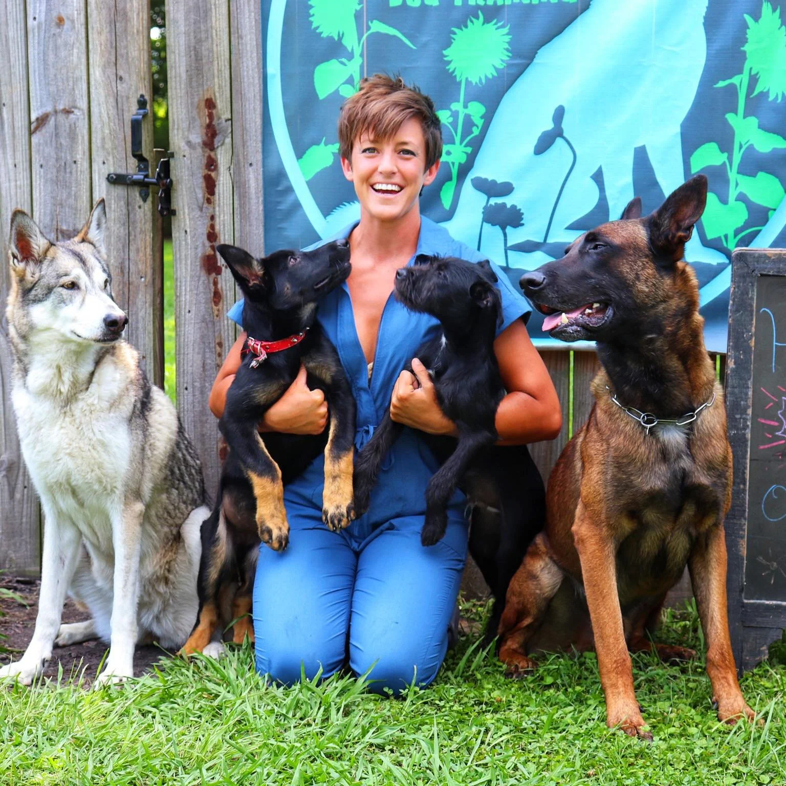 Wild Child Dog Training l Best Crystal Coast Dog Trainer