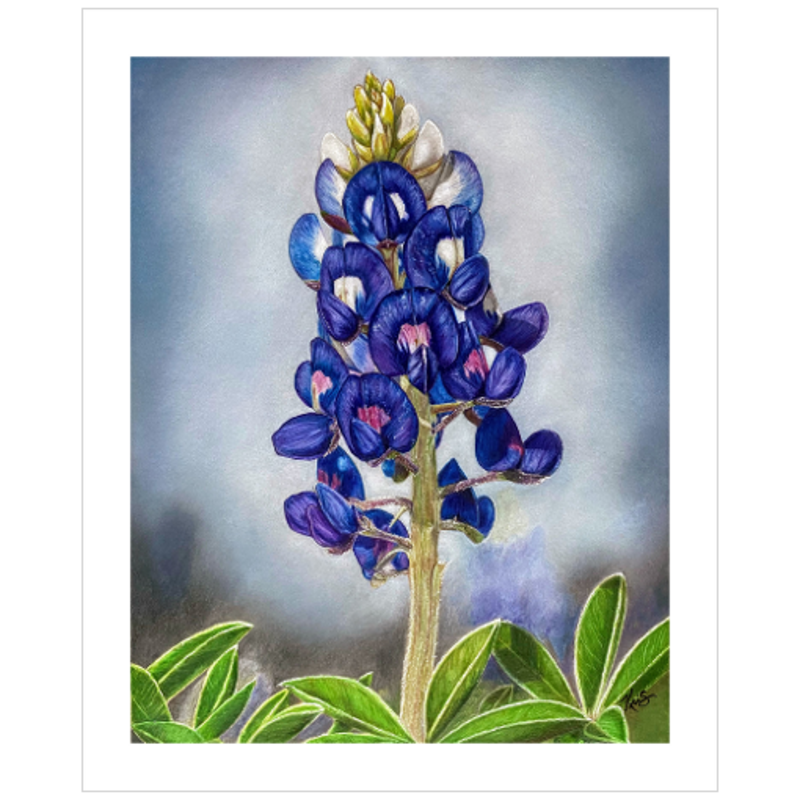 Shop Art — Kris' Artworks