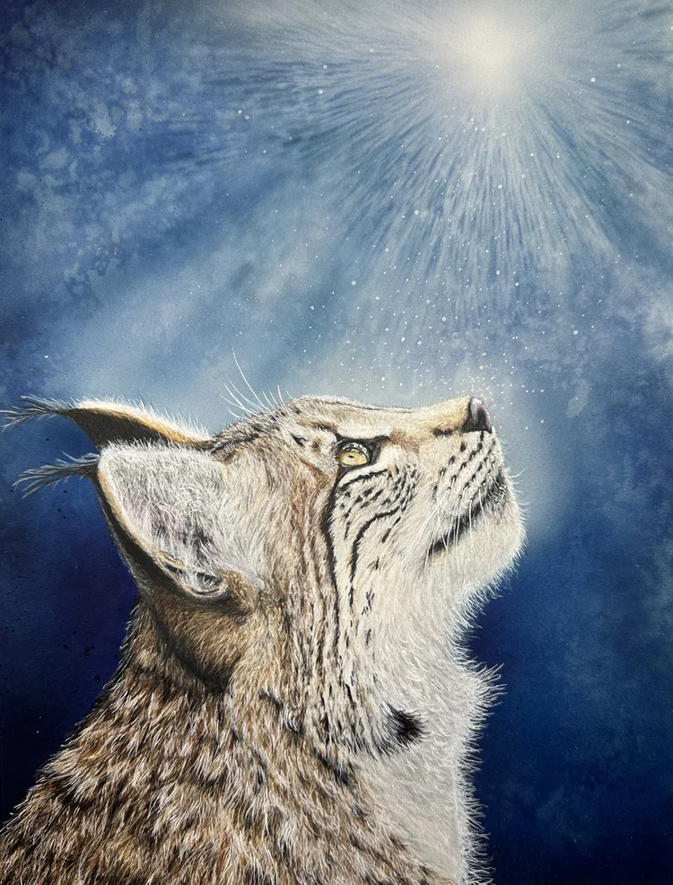 Shop Art — Kris' Artworks