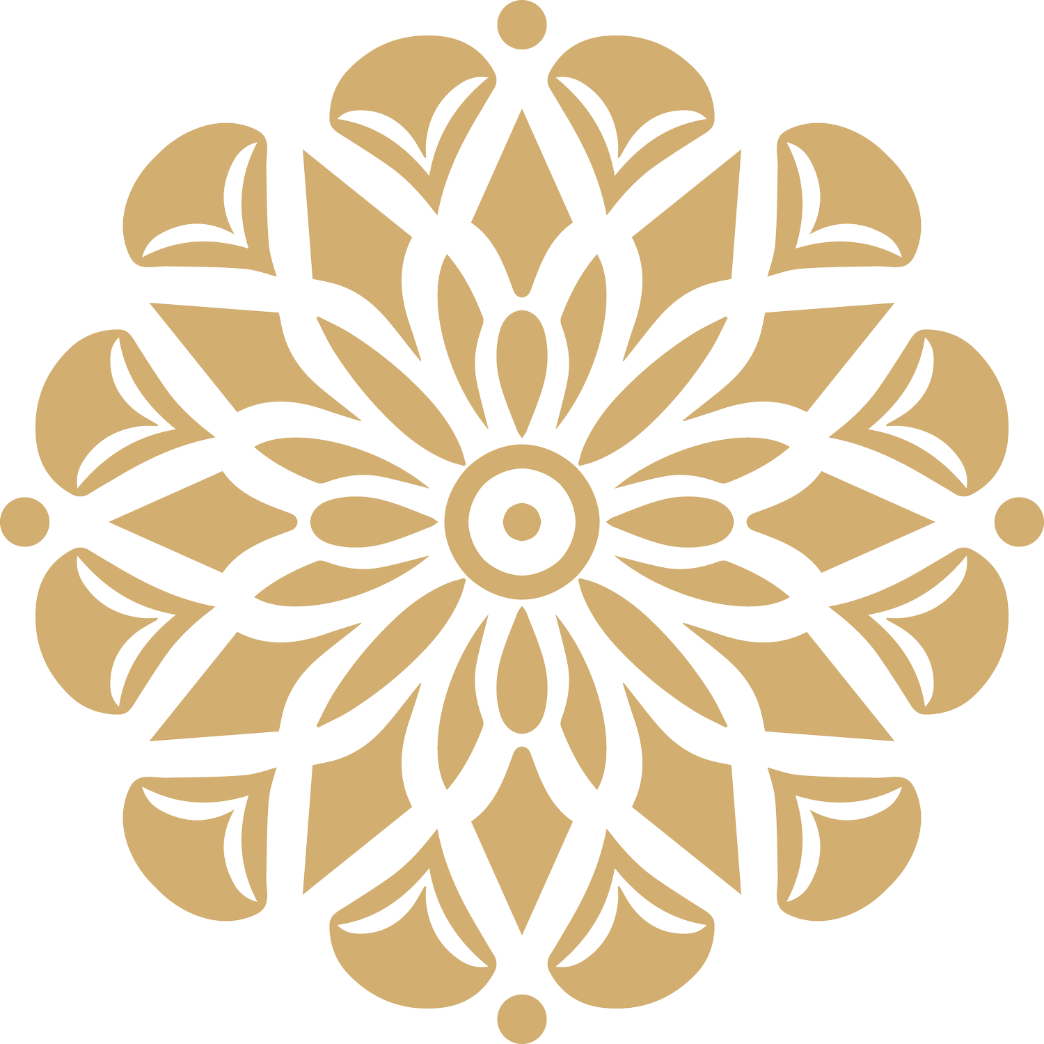 Bloom Health Clinic | Psychology | Therapy | Assessments | Cleveland ...