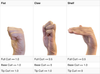 XR Hands Custom Gestures Now Available! — LEARN XR BLOG