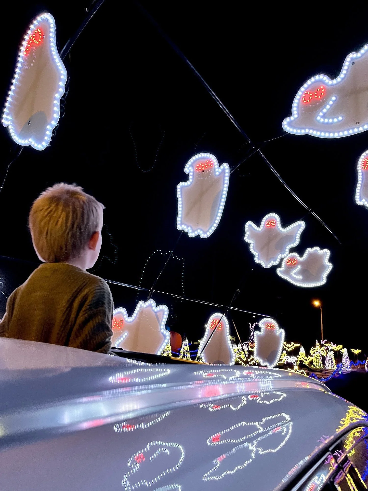 Spooky Light Show | Experience Halloween Magic Today