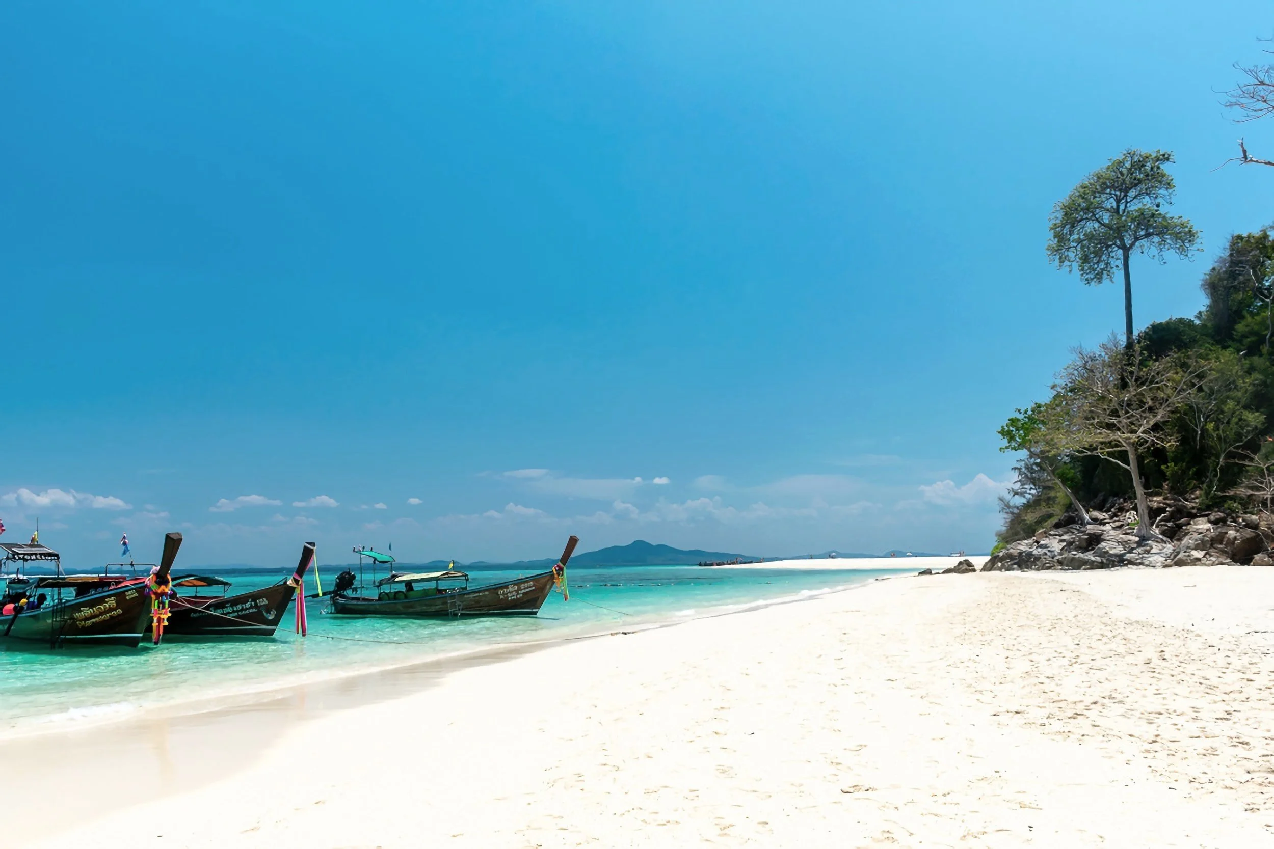 Galería — Phi Phi Latino