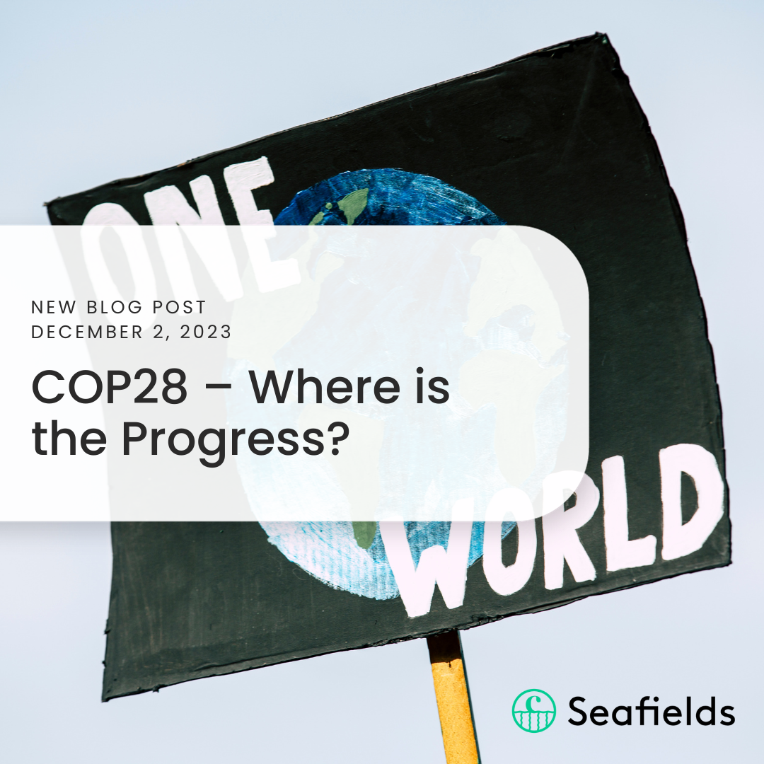 Blog 2 — Seafields