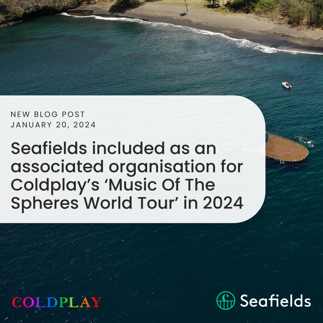 Blog 2 — Seafields