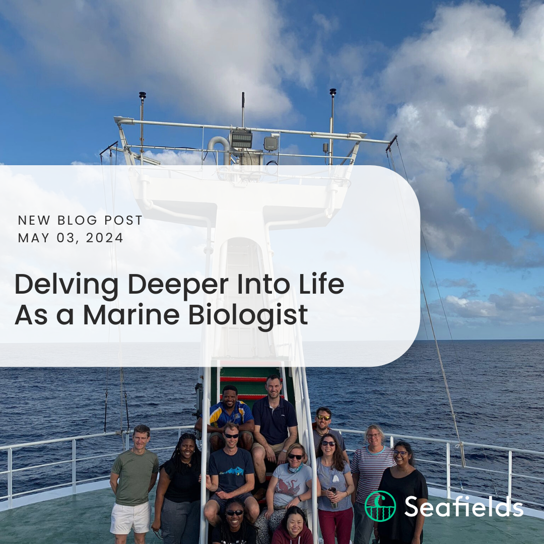 Blog 2 — Seafields