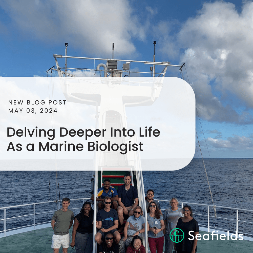 Blog 2 — Seafields