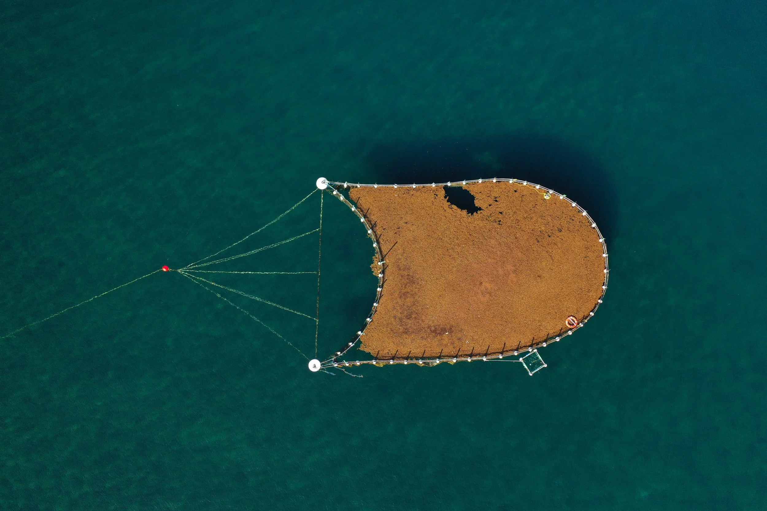 Our vision — Seafields