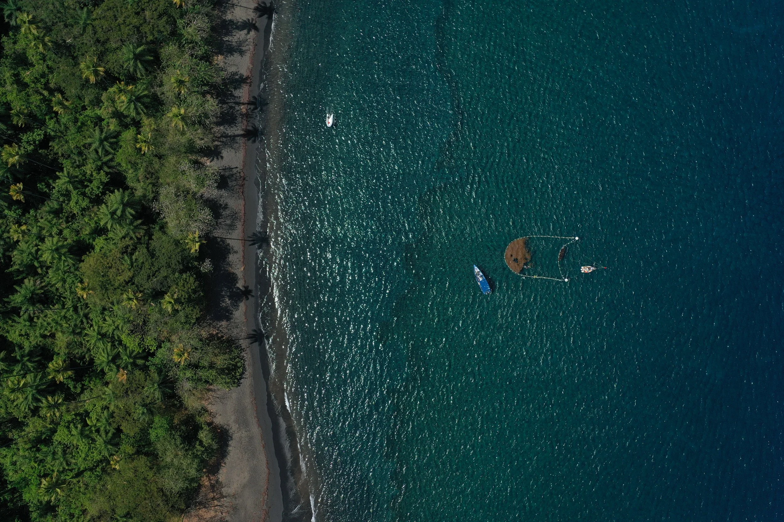 Roadmap — Seafields