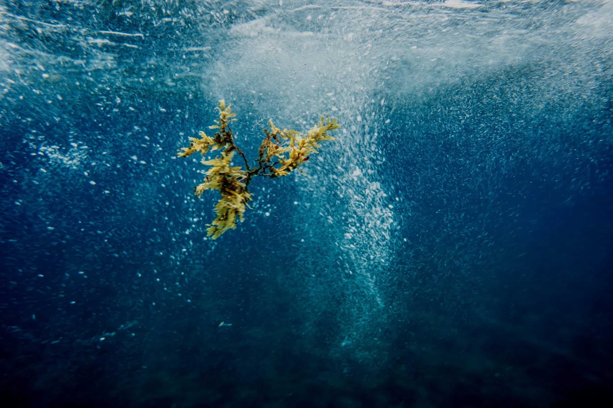 Our vision — Seafields