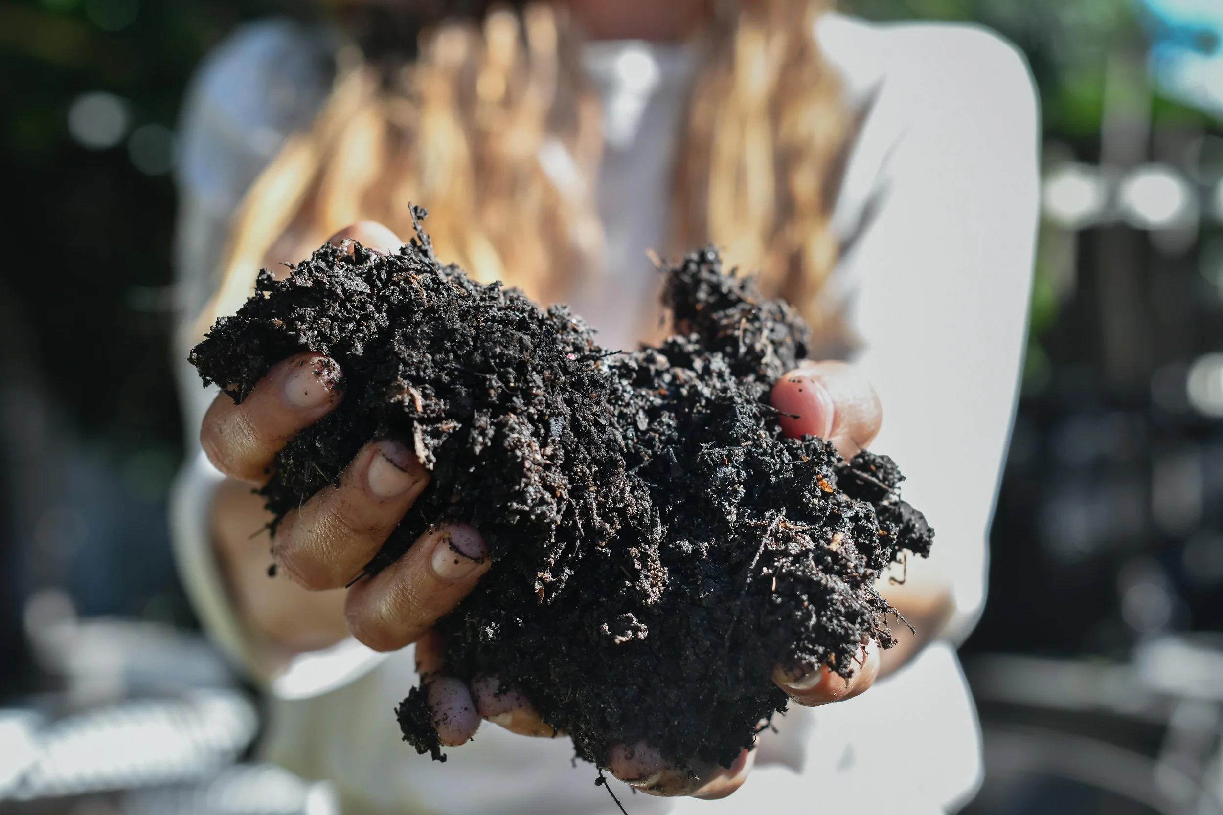 Events — Seed the Ground