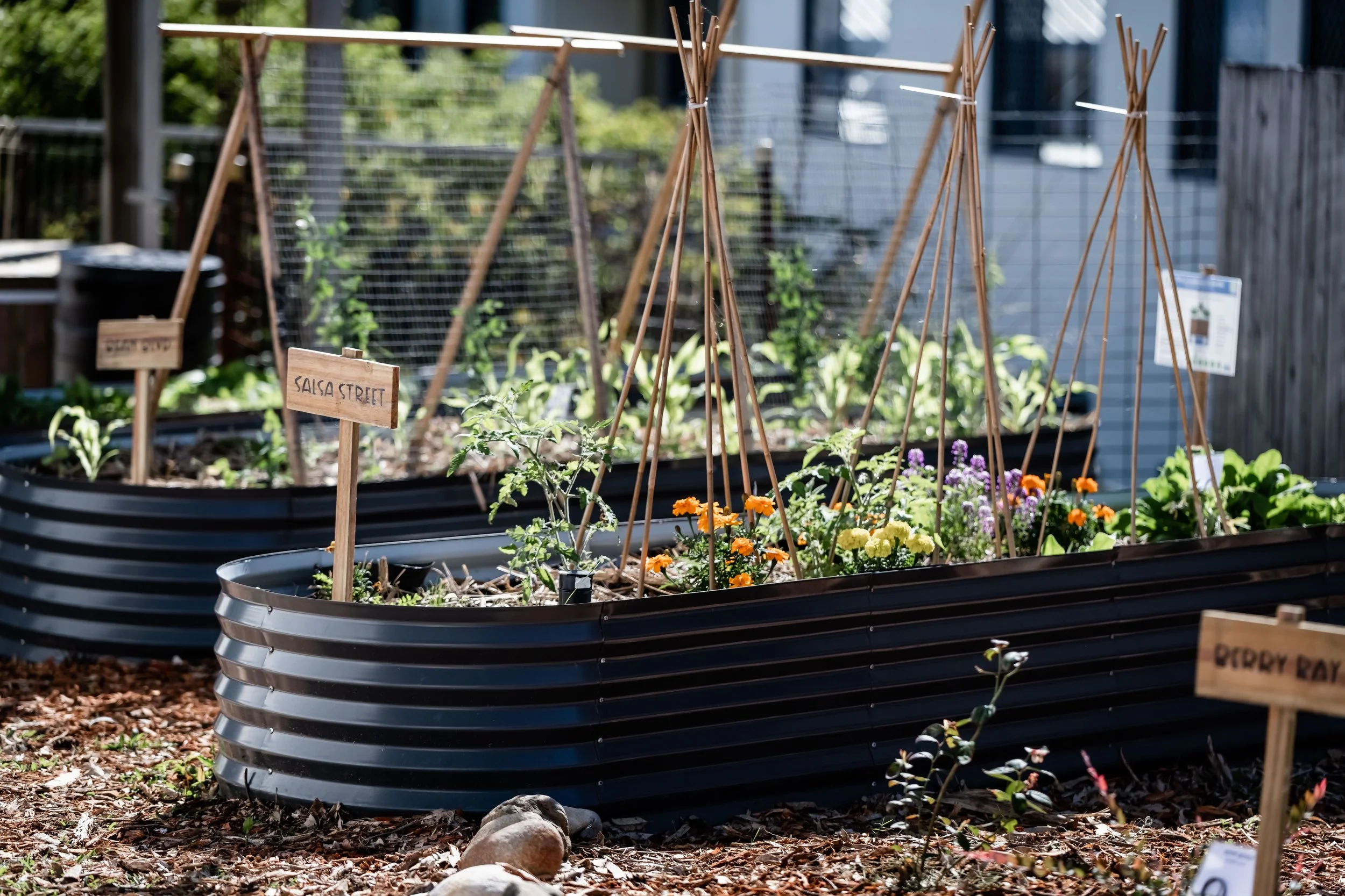 About — Seed the Ground