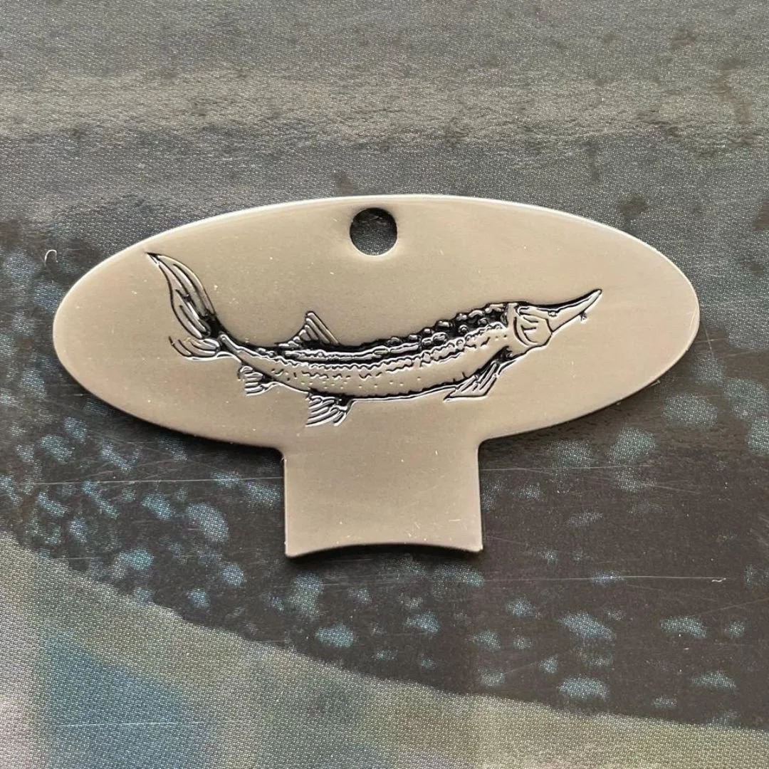 Shop — Queen of Caviar