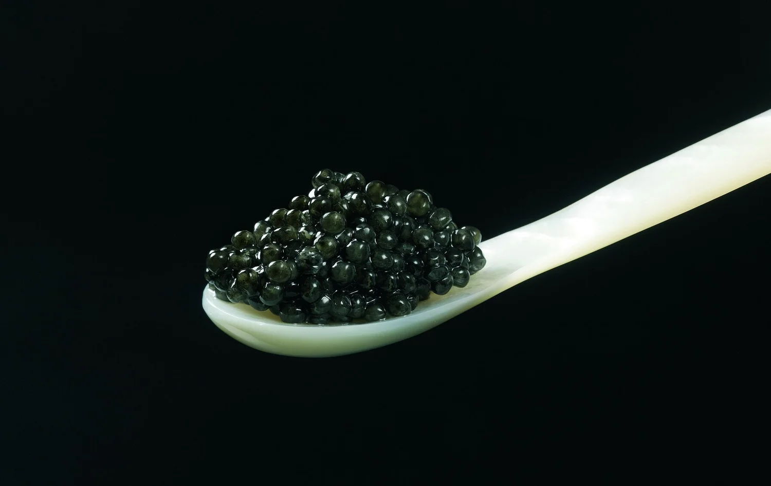 The finest quality caviar delivered to your door throughout the UK