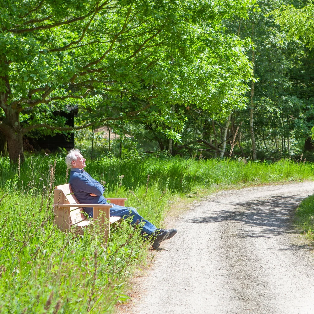Baanbrekende visie op zitten en meubels - Natuurlijk Zitten