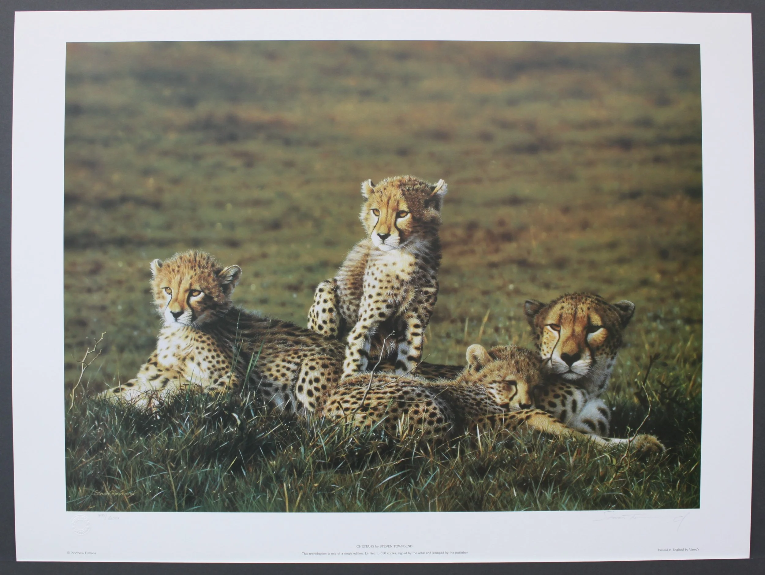 Artists — Kingswear Gallery