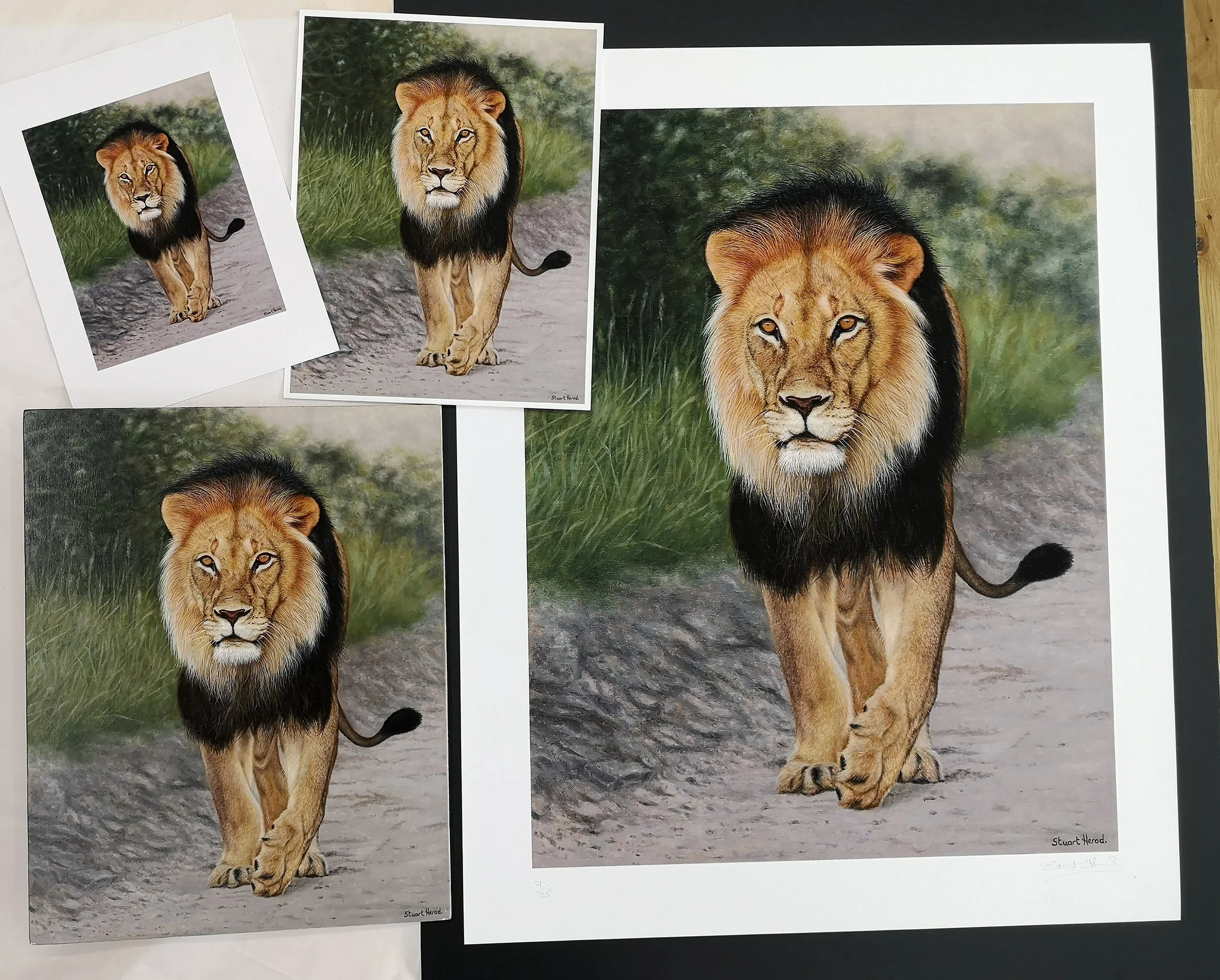Fine Art Printing Leeds | Kingswear Gallery | Picture Framers | Art ...