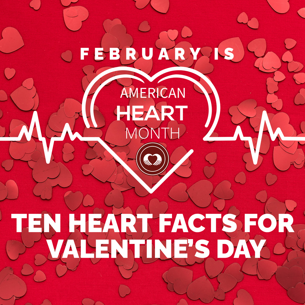 Ten Heart Facts for Valentine’s Day — Capital Cardiology Associates