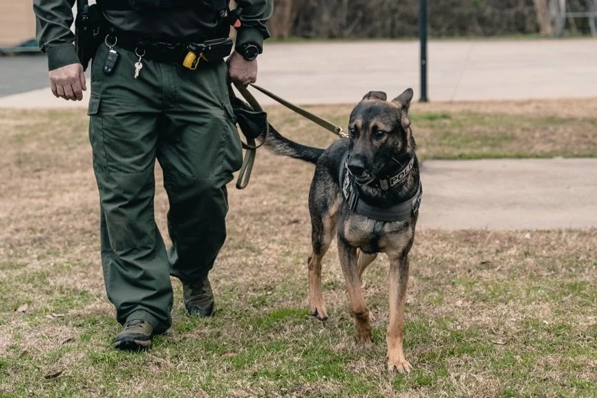 Valkyrie Tactical Solutions