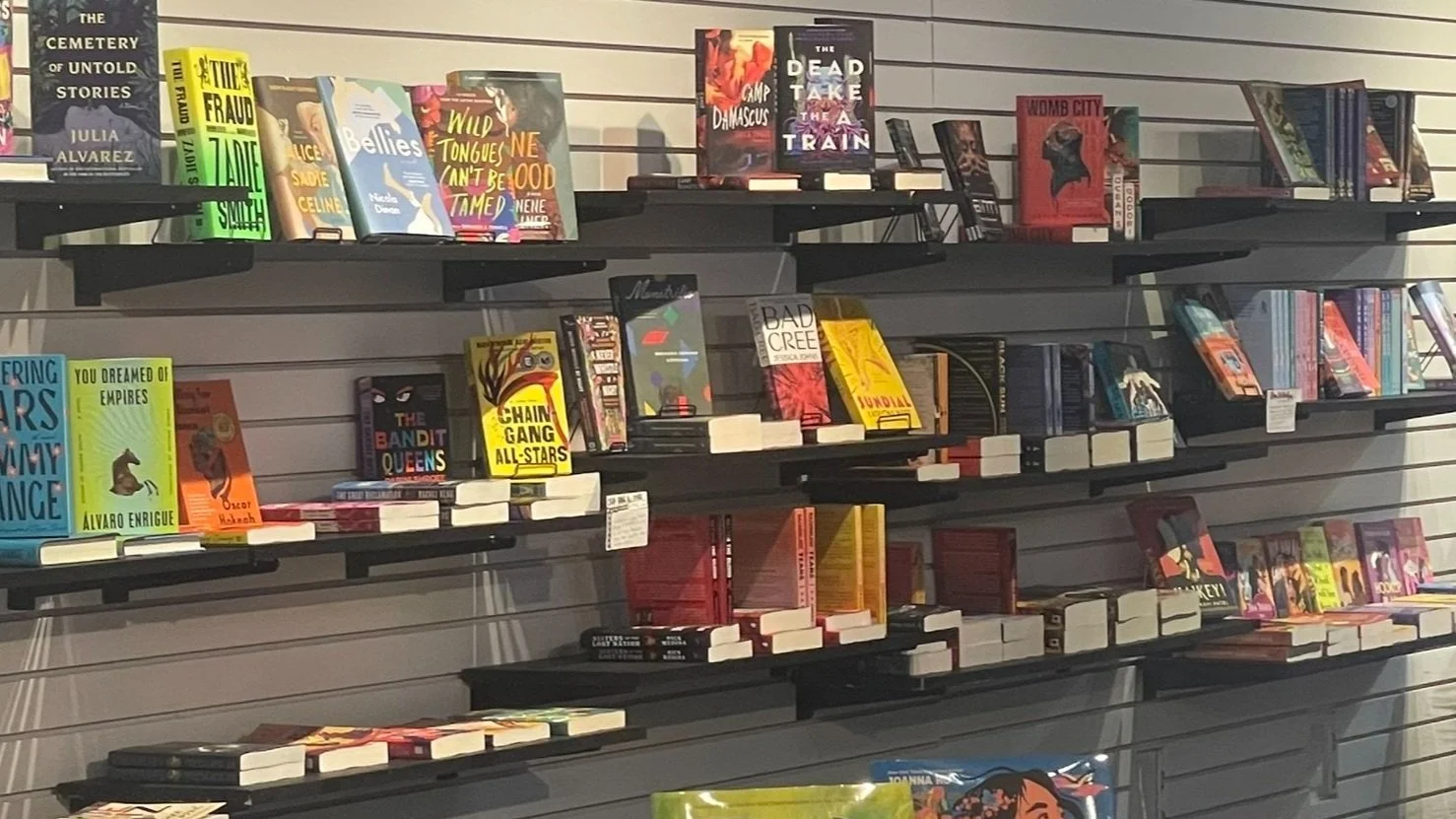 Curious Squirrel Bookshop