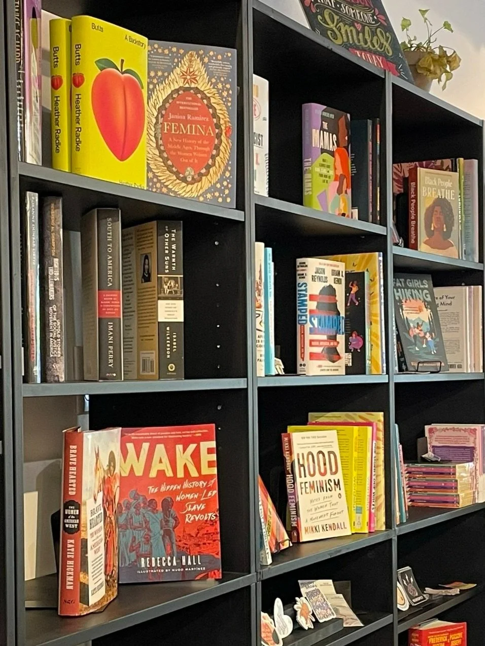 Curious Squirrel Bookshop