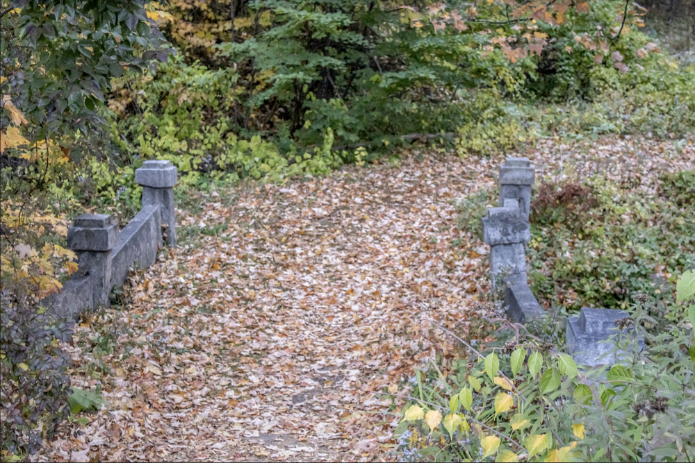 The Hidden History of Abbott Park — Farmington Flyer