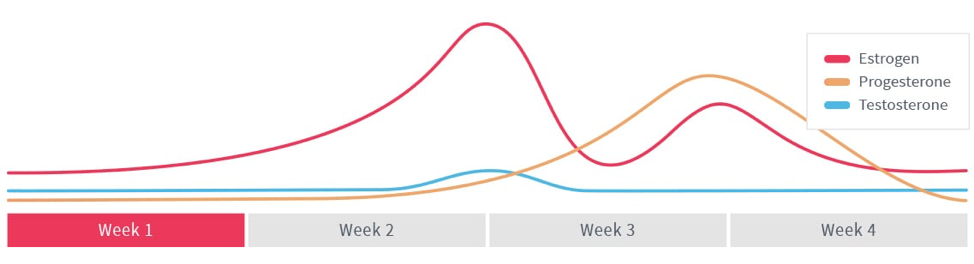 Knowing more about your menstrual cycle can change your life — GUARDIAN ...