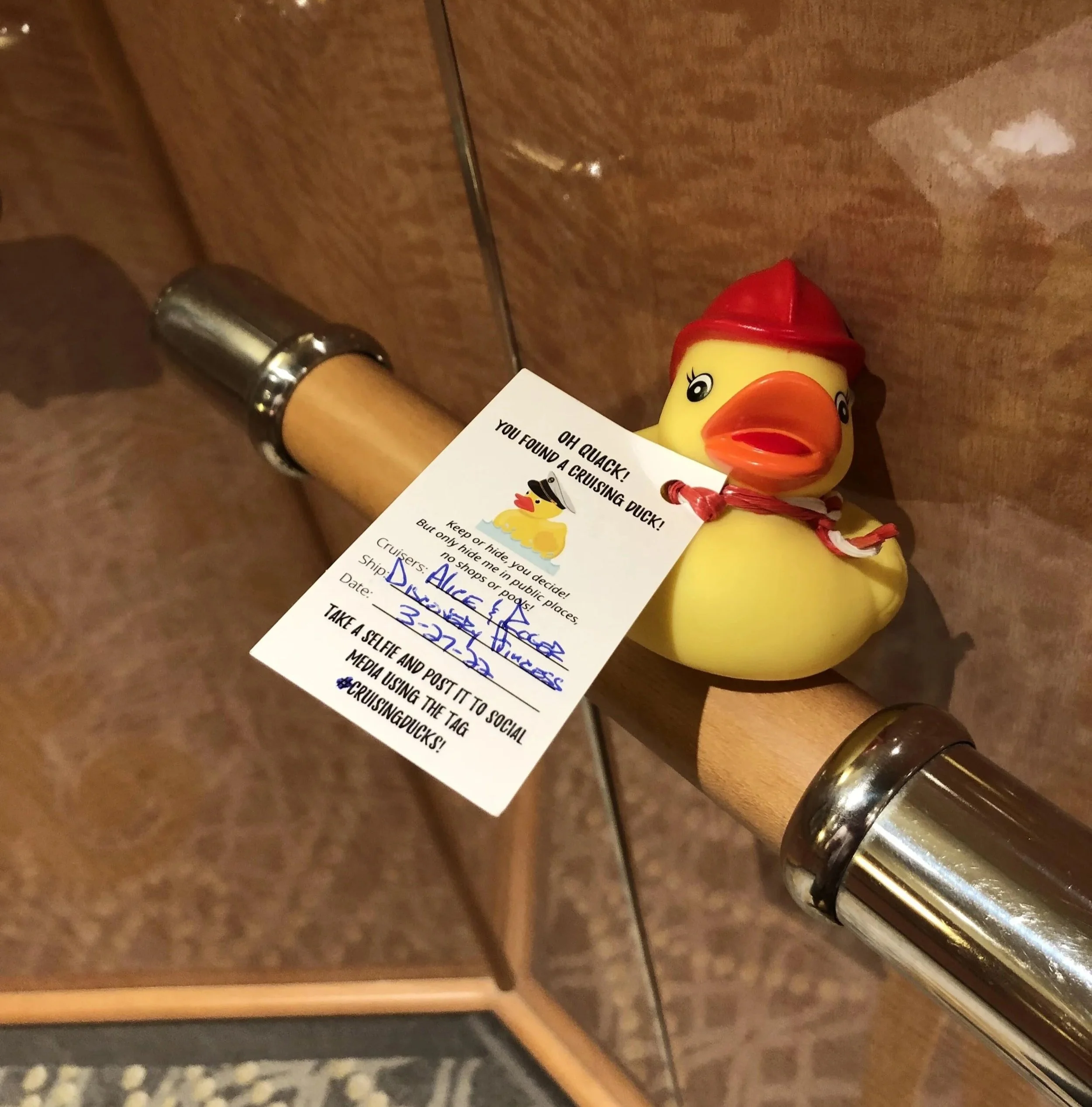 🦆 Cruise Ducks: The Quirky Tradition You’ll Love at Sea — Let's Talk ...