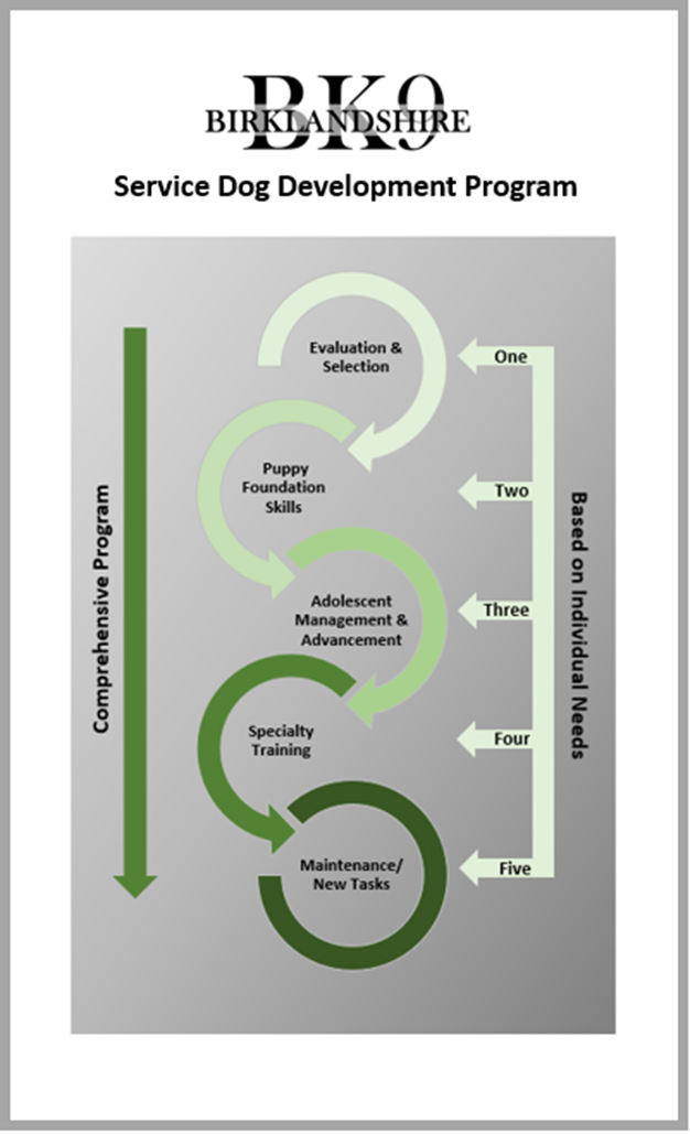 Service Dog Programs — BIRKLANDSHIRE K9