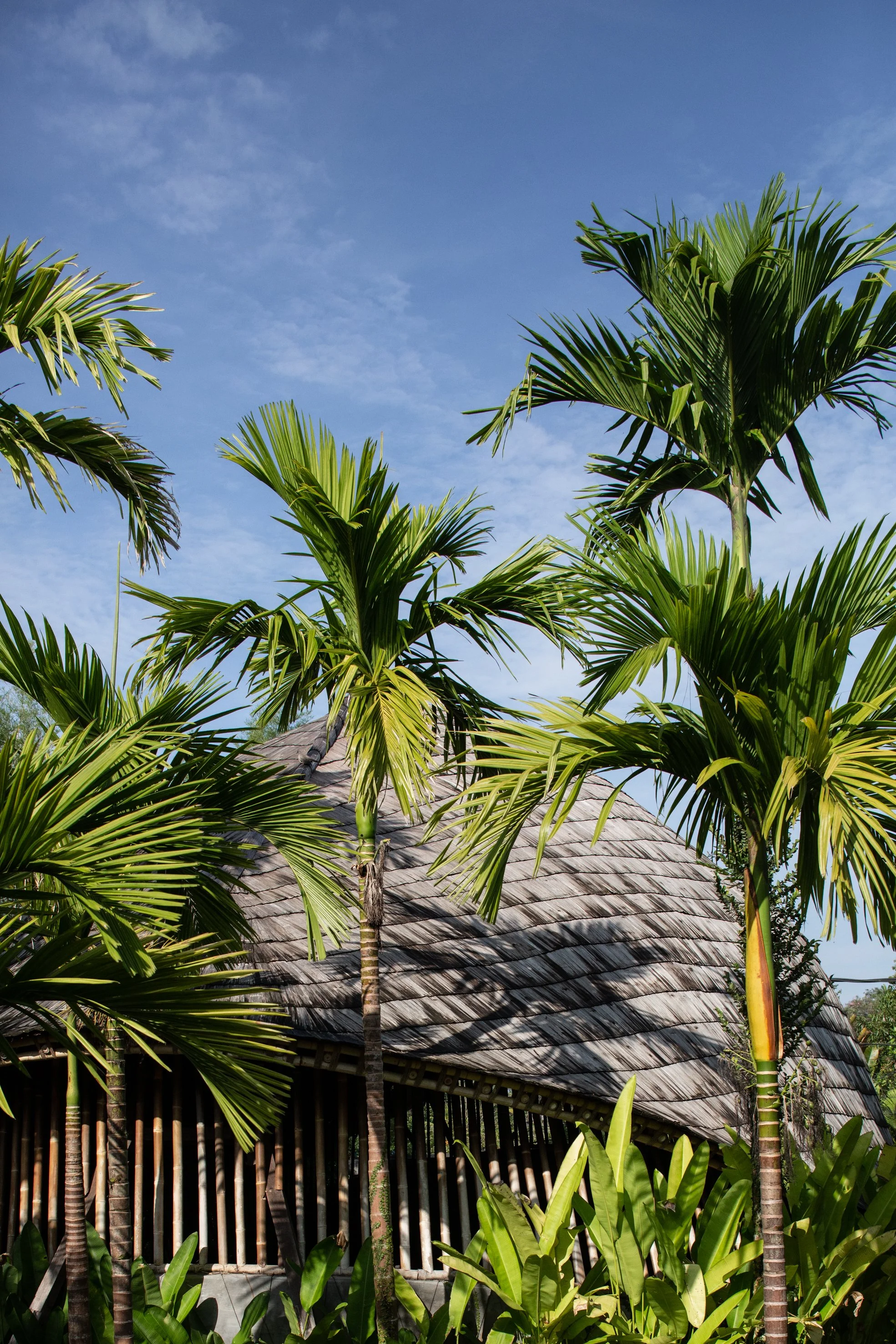 Pavilion — Rumah Hujan