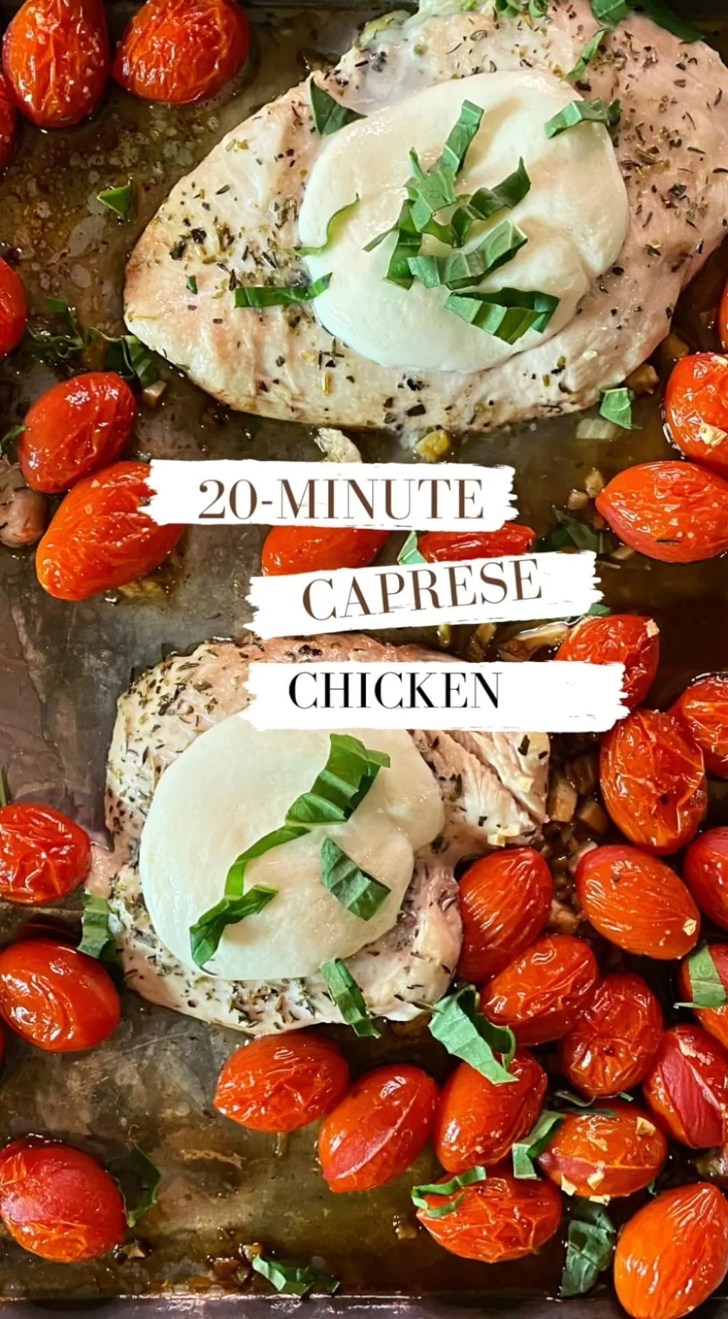 Recipes — Quick and Easy Recipes | Lauren Lane Recipes | Culinary ...