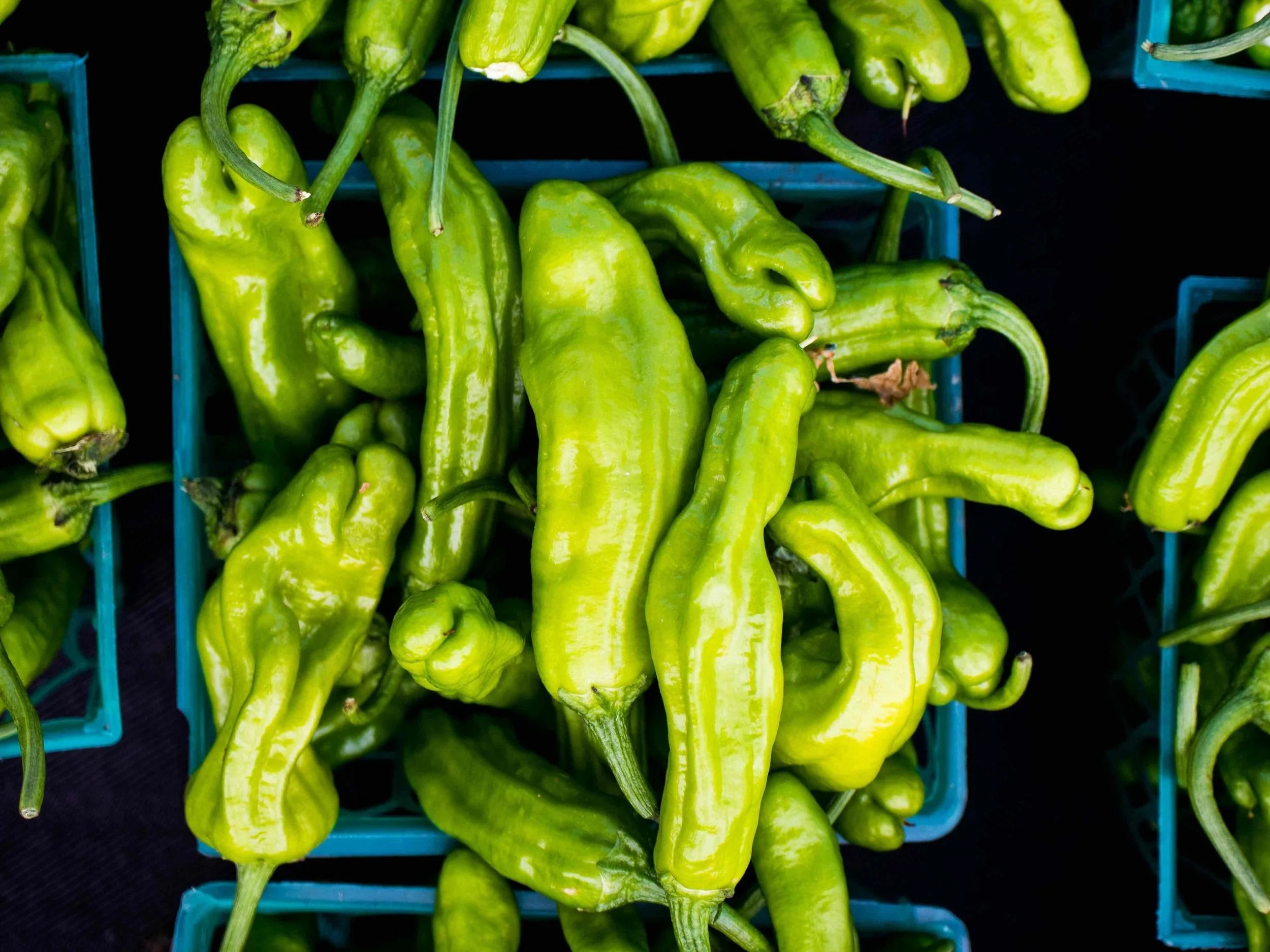 shishito pepper recipe — Quick and Easy Recipes