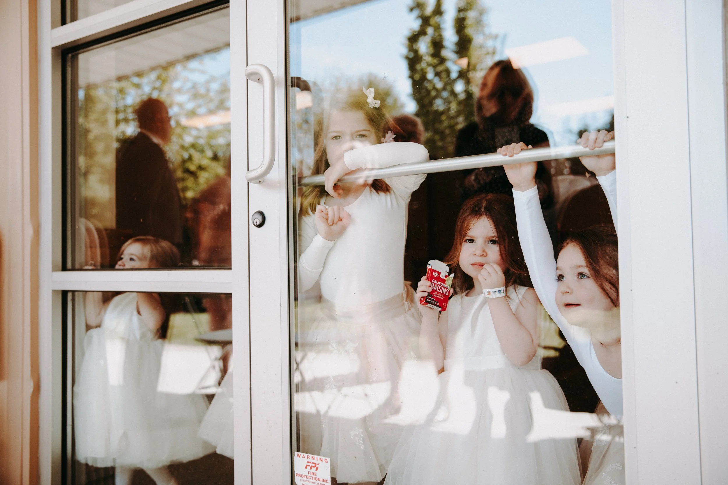 Seasons & Sparrow Pictures - photography and videography in the Seattle ...