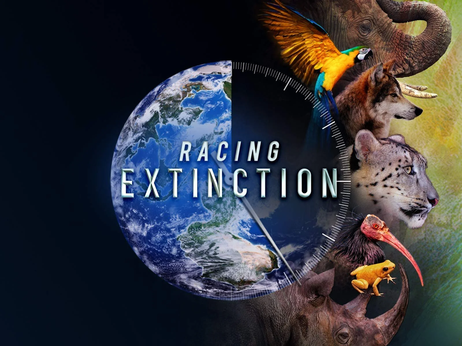 Influencer & Brand Partnerships — Hello, I'm Brie Ripley