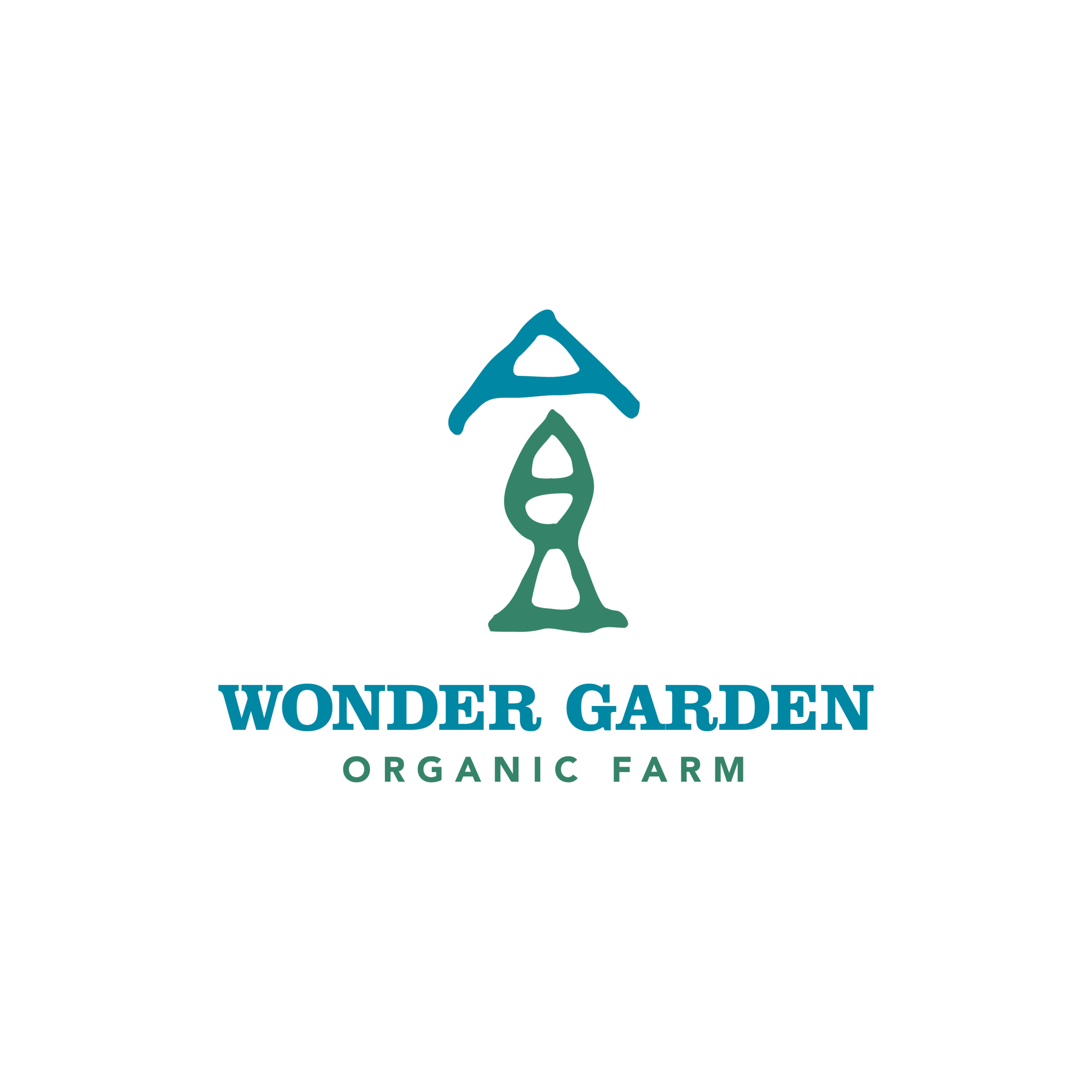 Wonder Kitchen