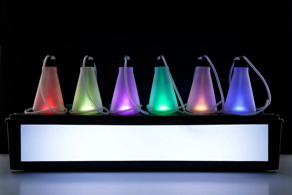 Oxygen Bar — Salt Revival