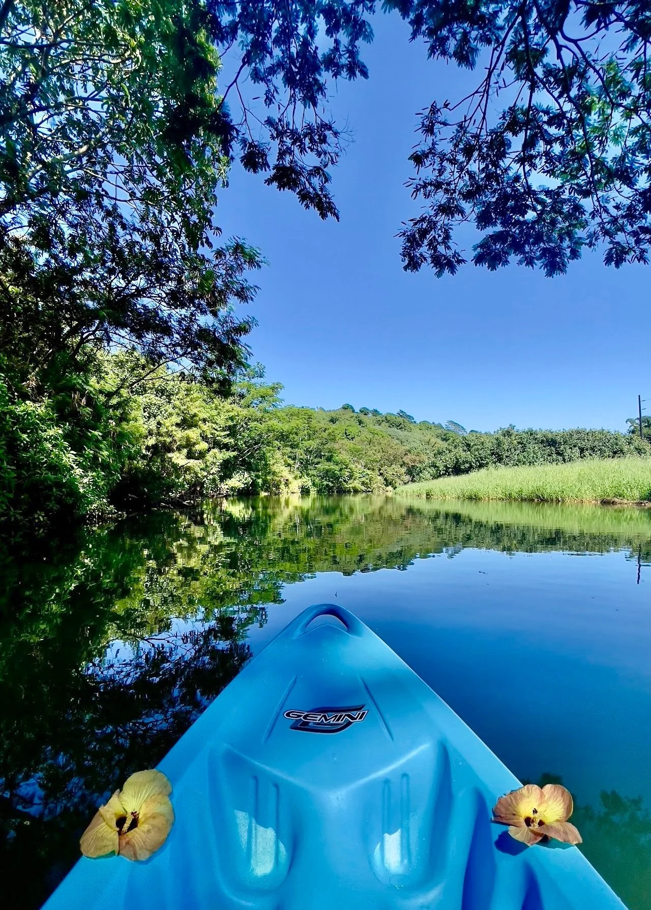 Kayaking in Kauai - Rent a Kayak Today!