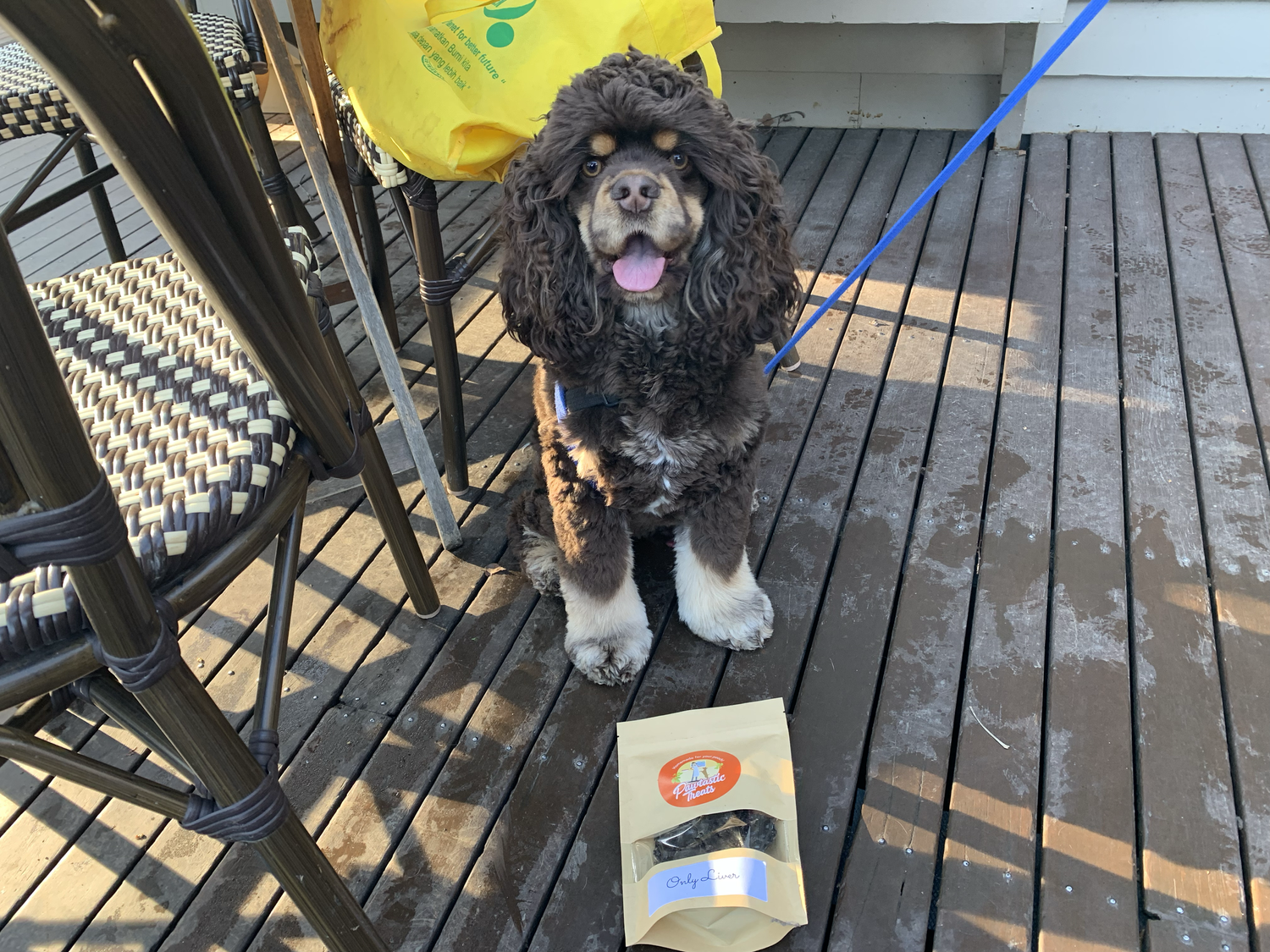 Ripe Sassafras | cafe restaurant sassafras