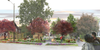Our Mission — Detroit Vacant Land CDC