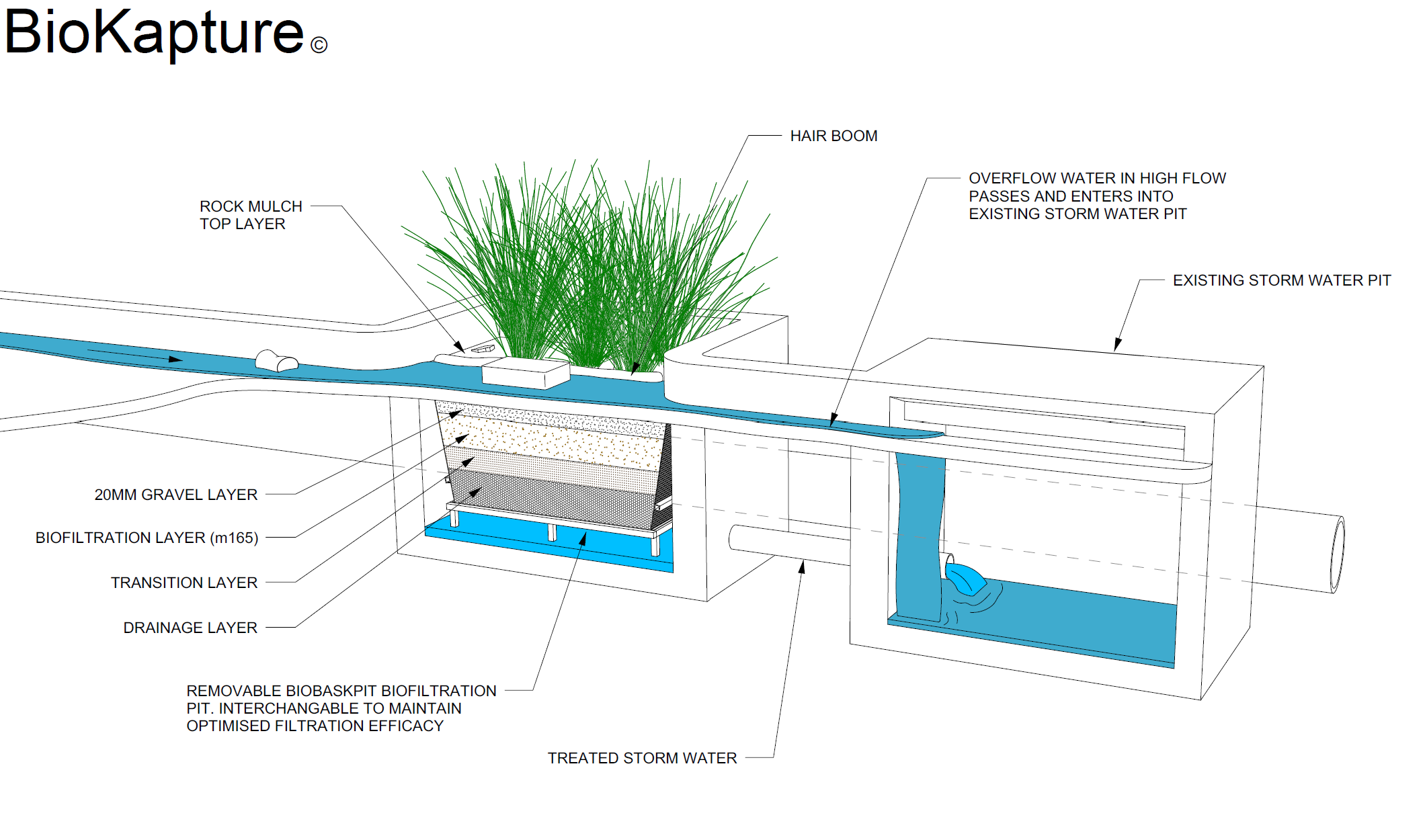 PRODUCTS — Urban Renew