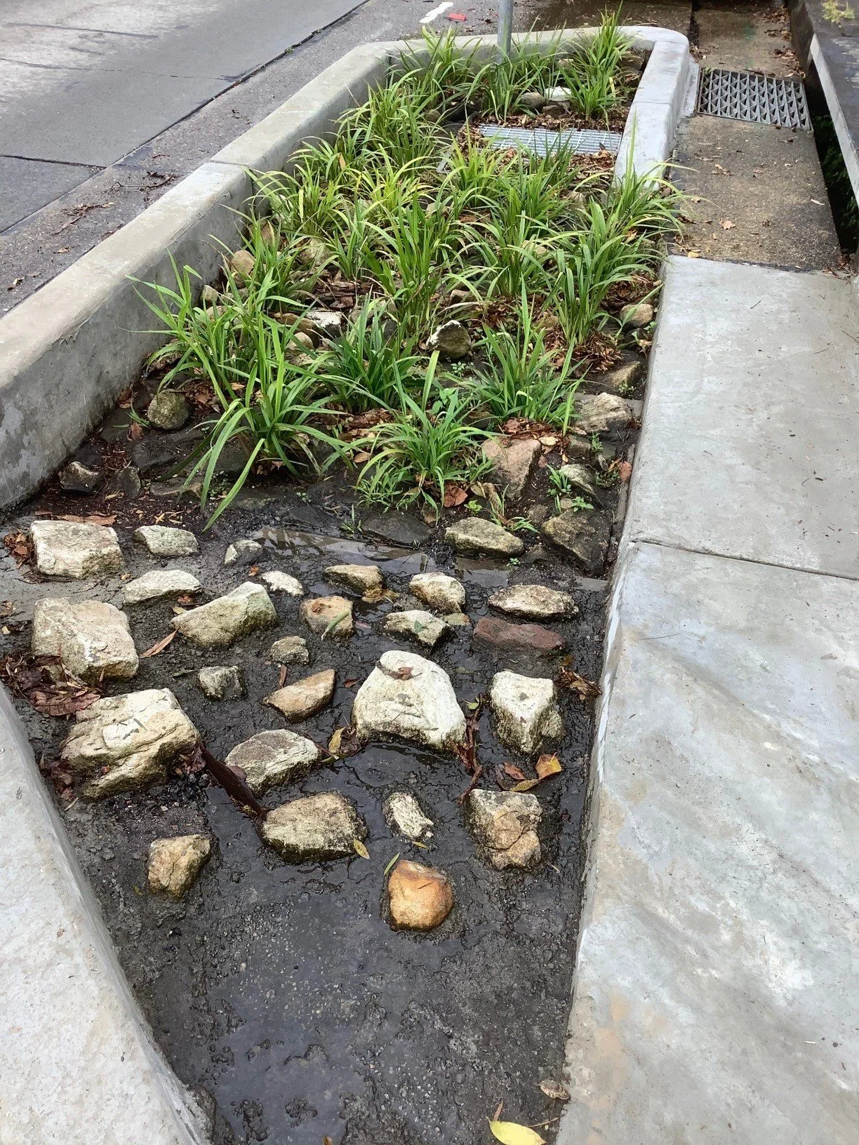 CONSTRUCTION — Urban Renew