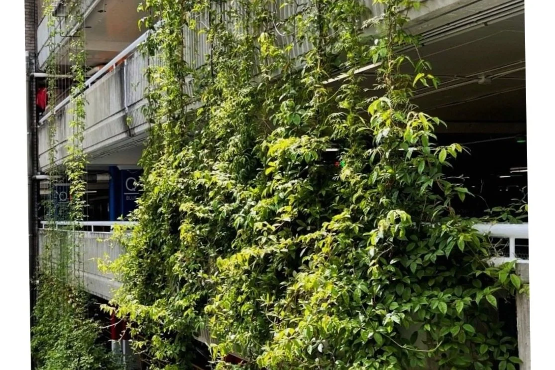 Urban Renew - Urban Greening and WSUD