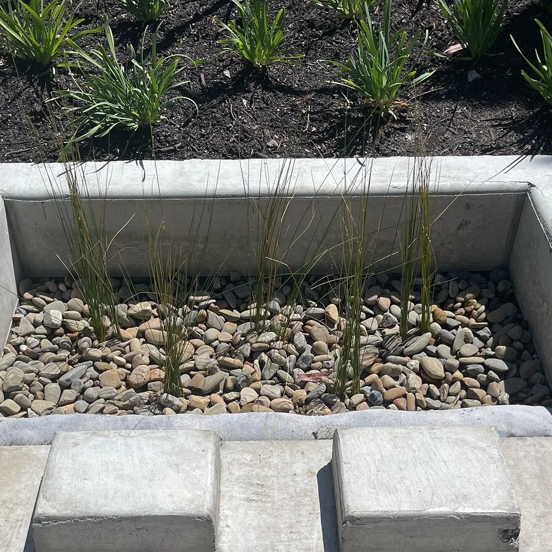 Urban Renew - Urban Greening and WSUD