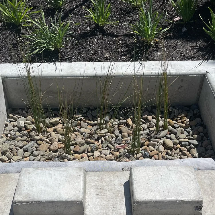 Urban Renew - Urban Greening and WSUD