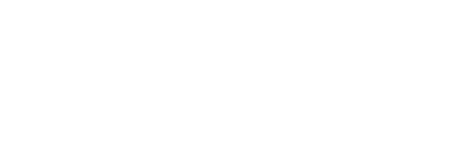 NASHER LIBERATION LIBRARY — Sadie Nash Leadership Project