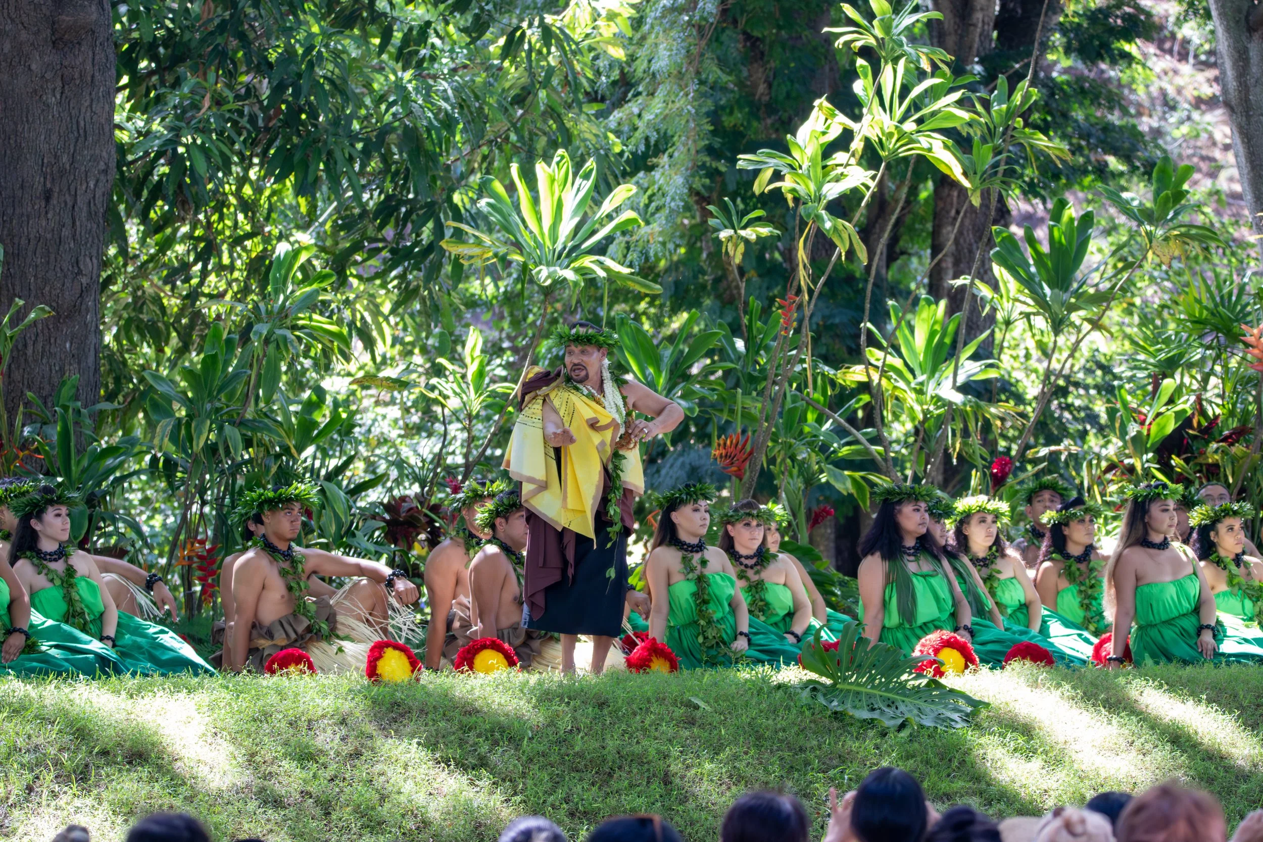 History - Hoʻolau Kanaka — Puaʻāinahau Foundation, Inc.