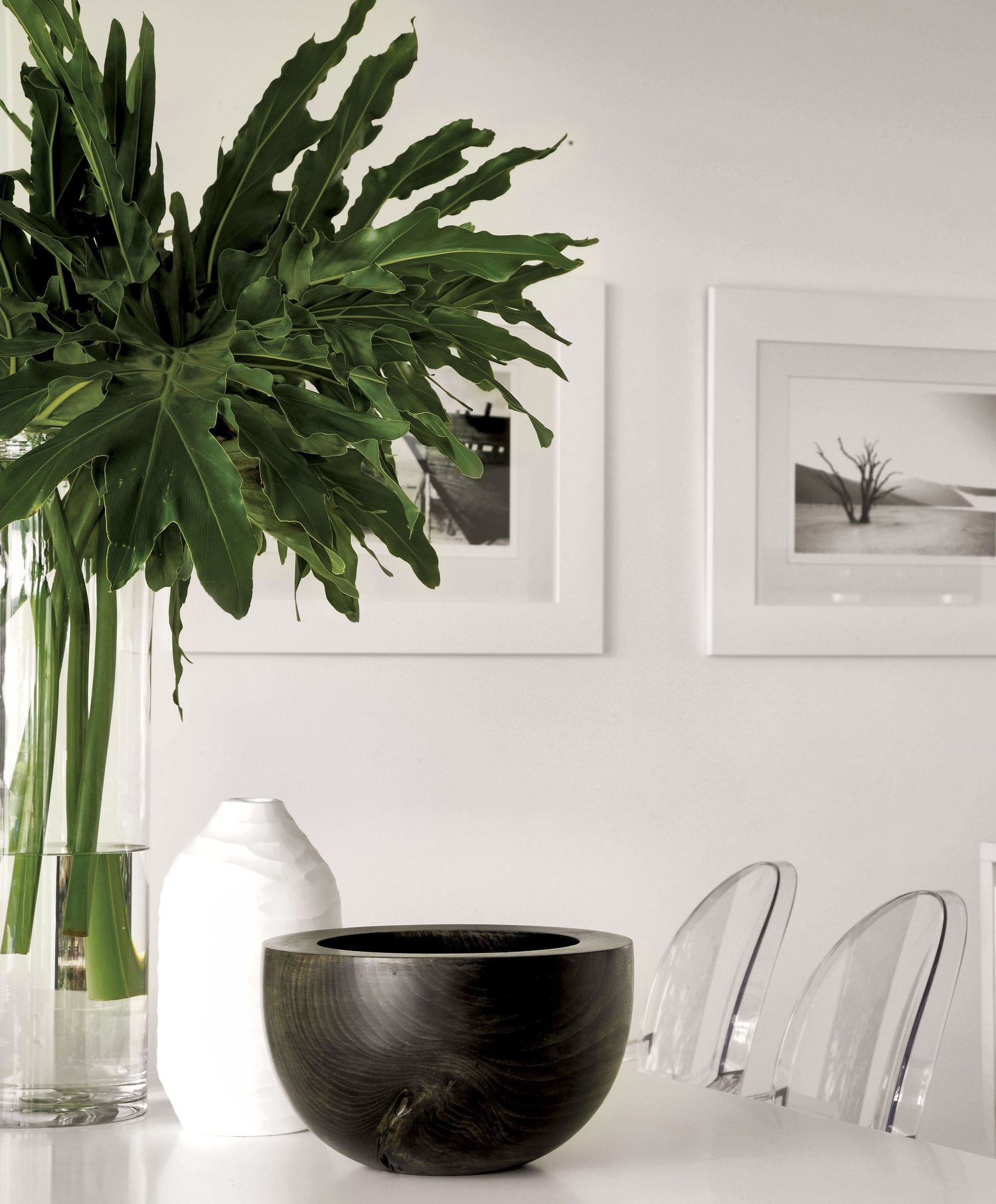 Cliff House — Jacket Curated